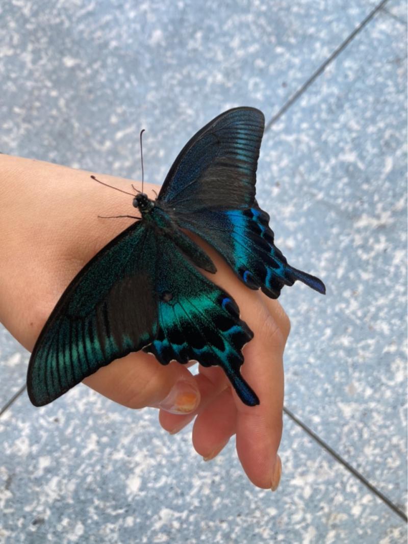 サッシ・インプラスのご相談は北海道のLIXILFCマドリエ旭川永山