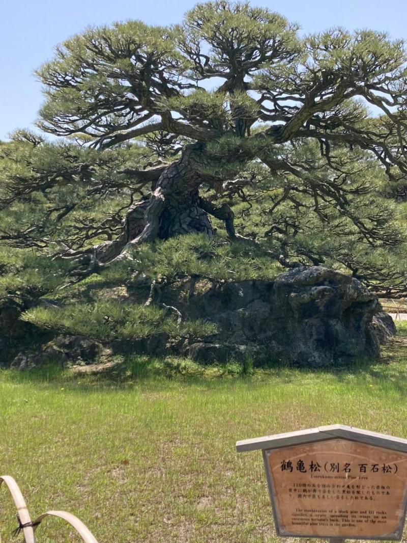 あなたの町のサッシ屋 LIXIL FC東大阪 阪奈トーヨー住器です